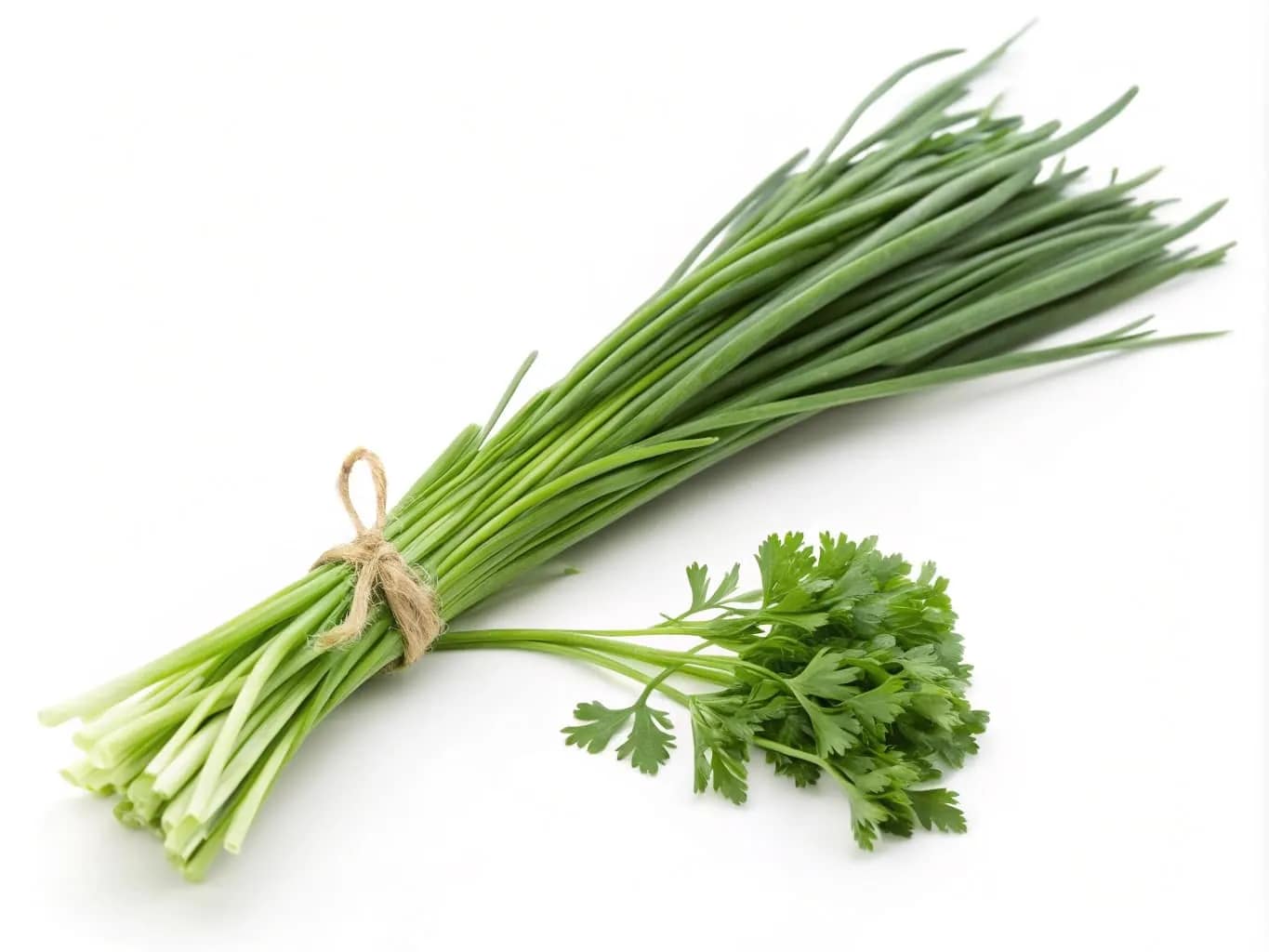 Are Asian Chives Low FODMAP? The Full Guide